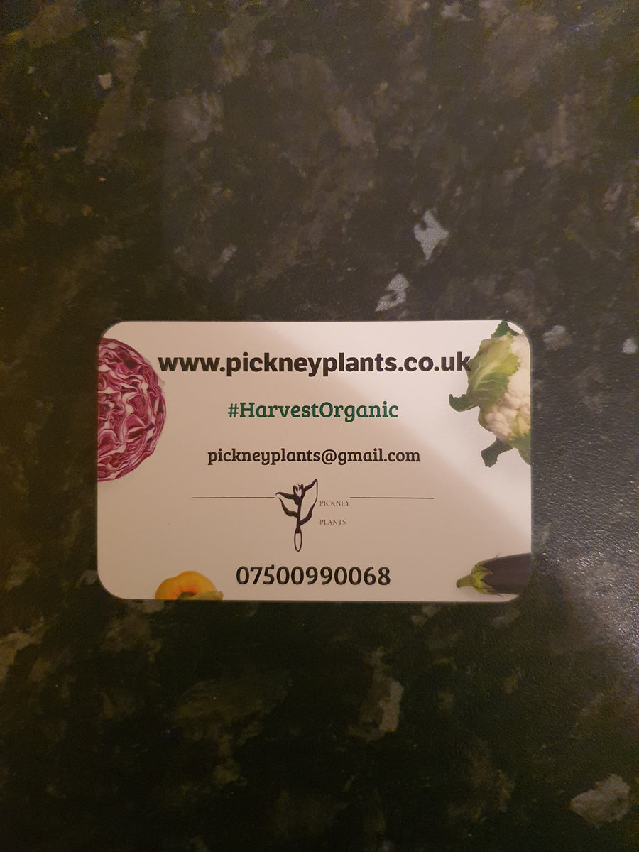 Welcome to the Launch of our online store – Pickney Plants